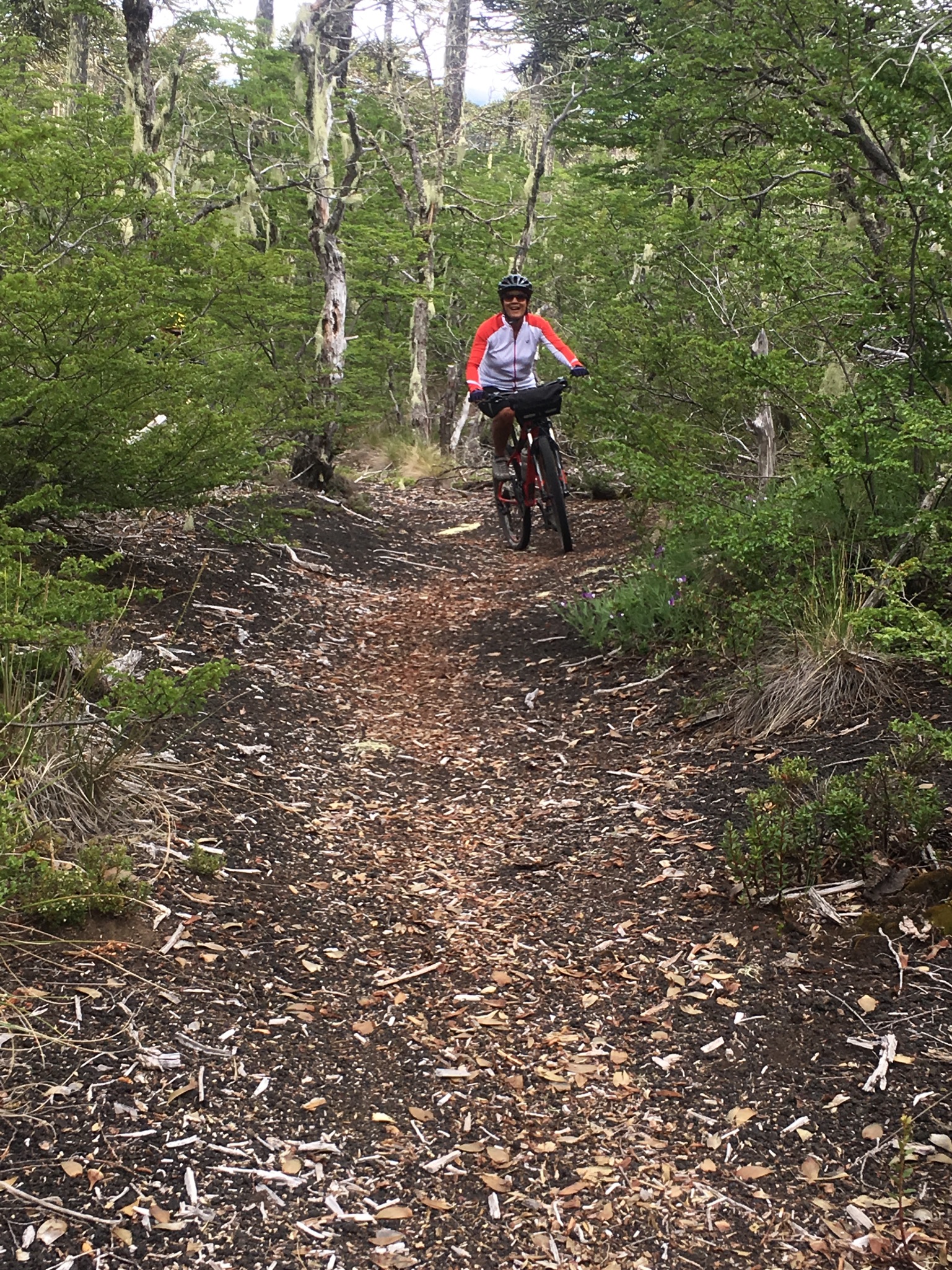 The excitement of single track biking… | Explore with me