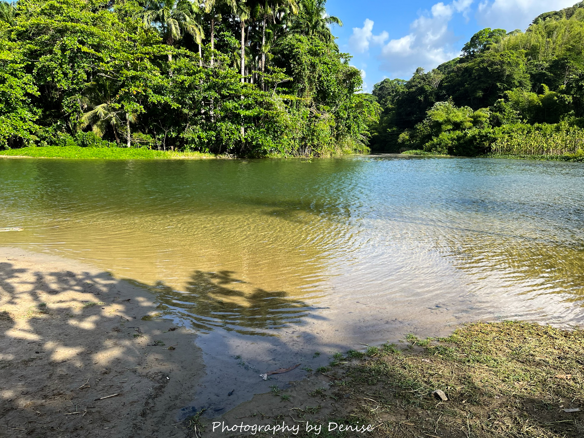 The Marianne River – Trinidad… | Explore with me